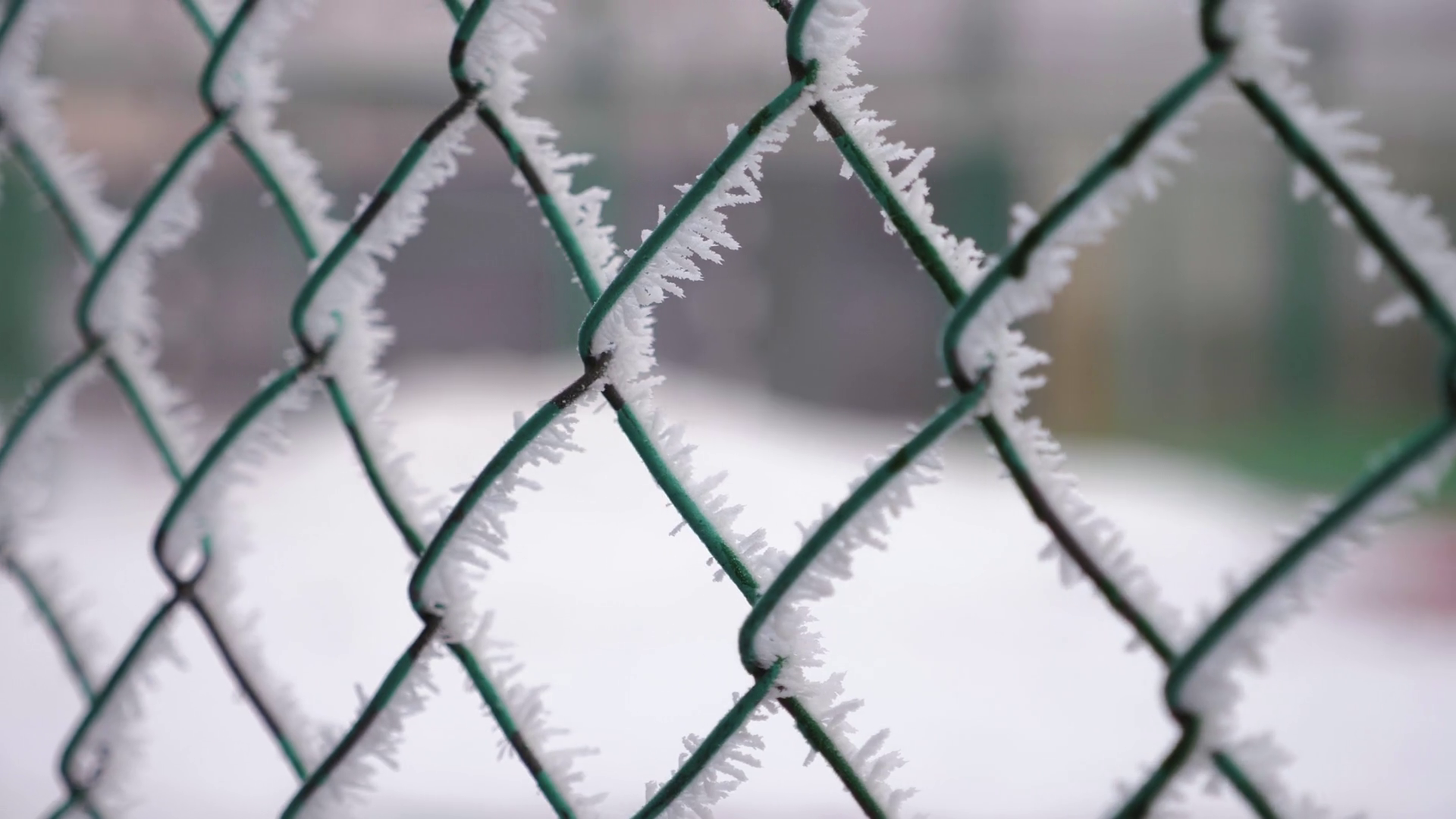 Frozen Fence Made Of Metal Mesh Covered With Stock Footage SBV ...