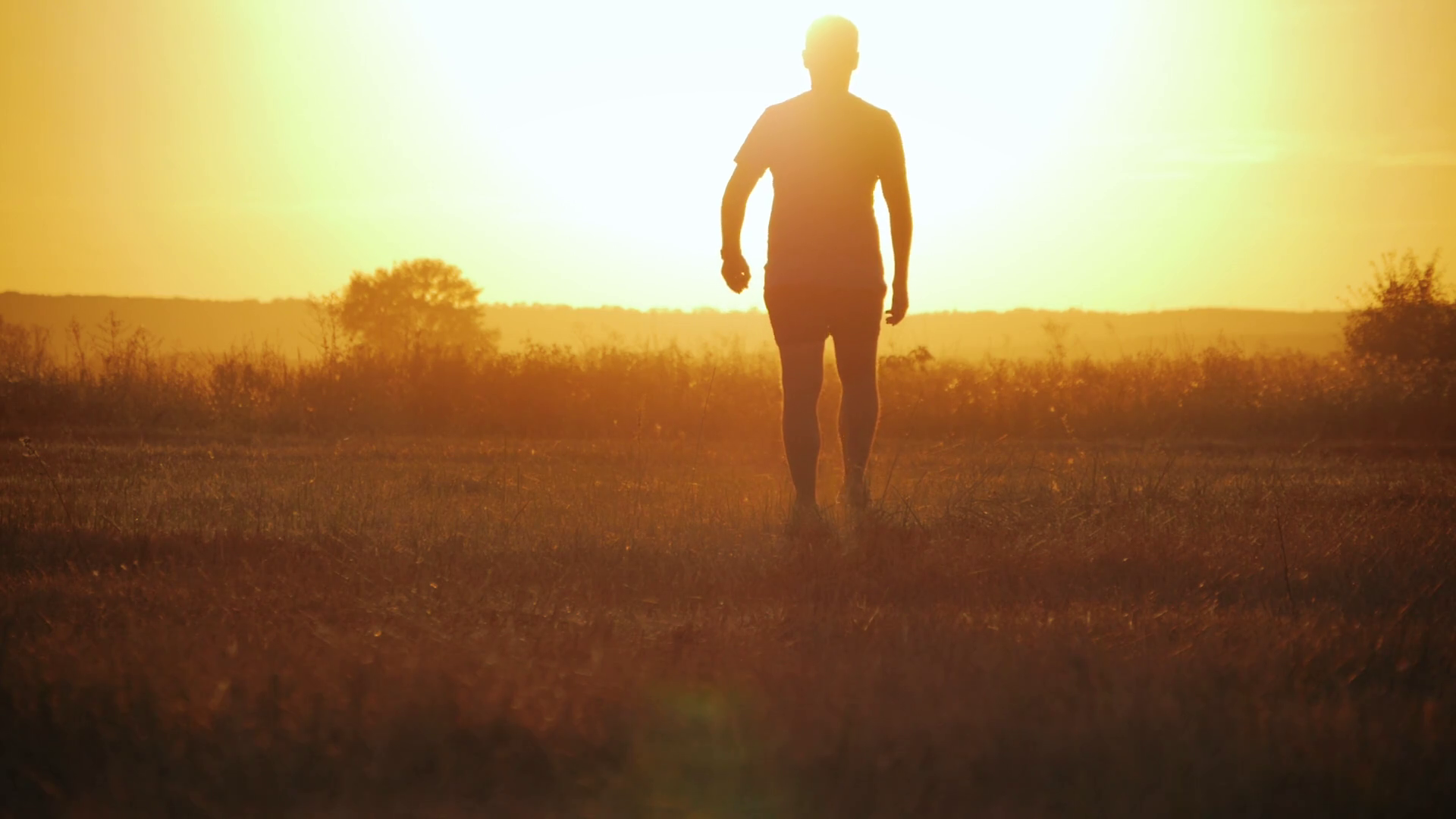 Go To Sunset Lower Angle Young Man Walking Stock Footage SBV-338846504 ...