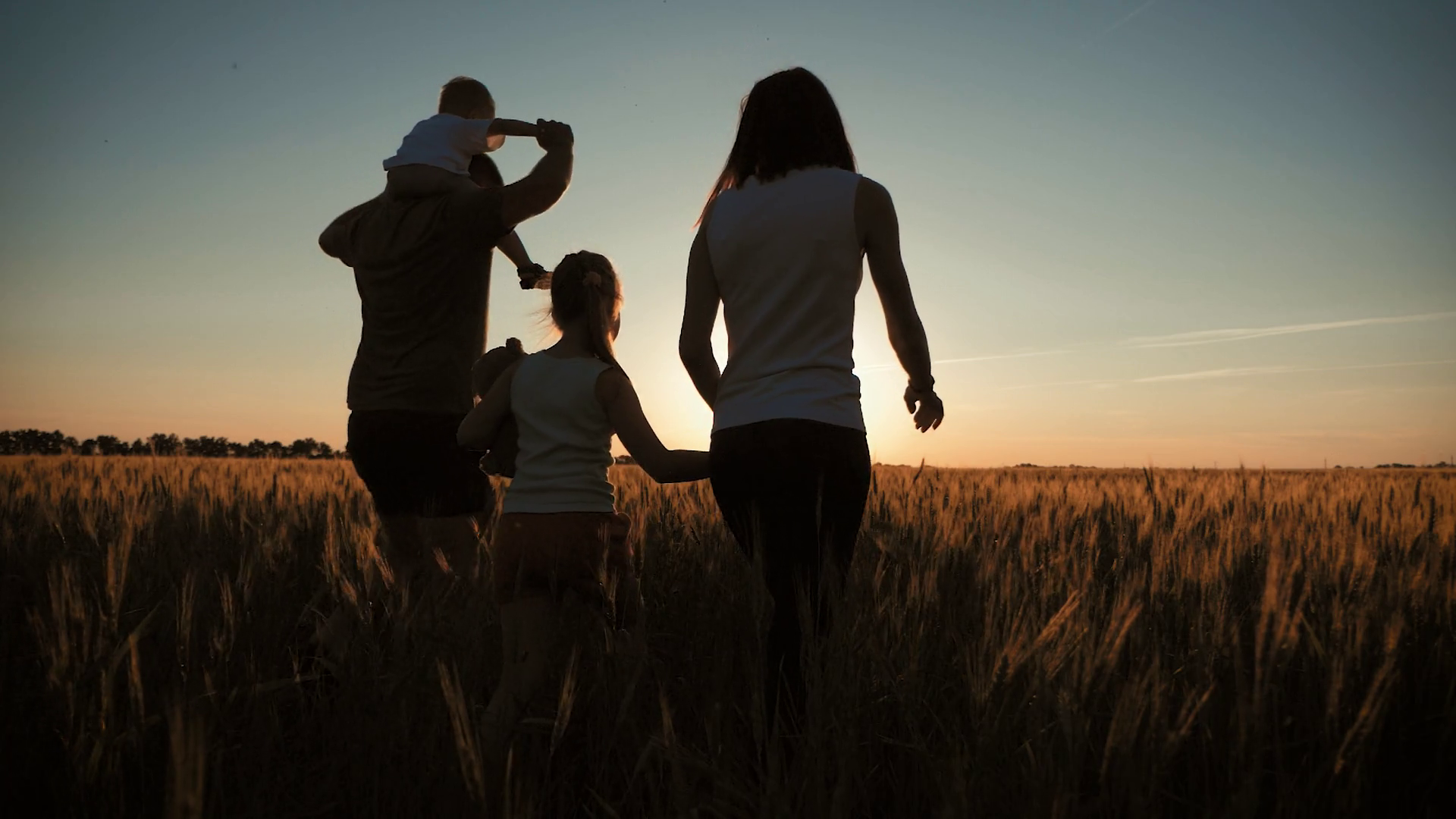 Family Enjoying Sunset Walk In Wheat Field Stock Footage SBV-337815487 ...