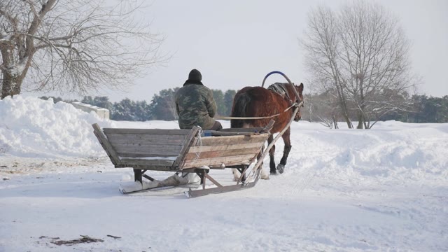 Horse Drawn Sleigh In Snow Stock Footage: Royalty-Free Video Clips ...