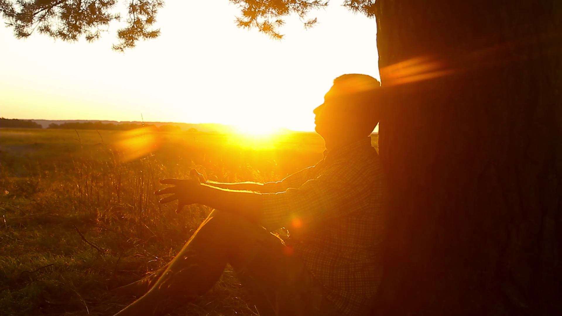 Human Sitting Under Tree Man Repose On Grass Stock Footage SBV ...