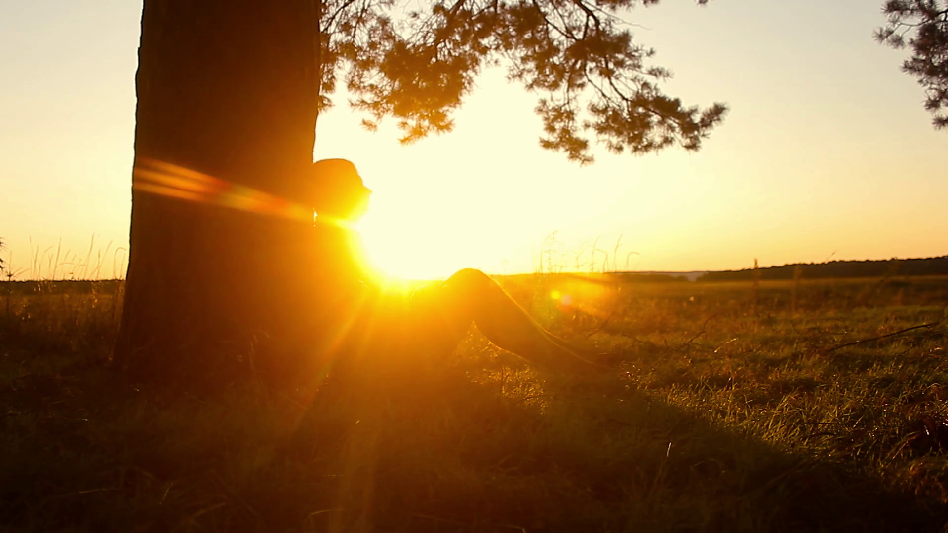 Man Meditating Under Tree In Nature - Stock Footage SBV-317595415 ...