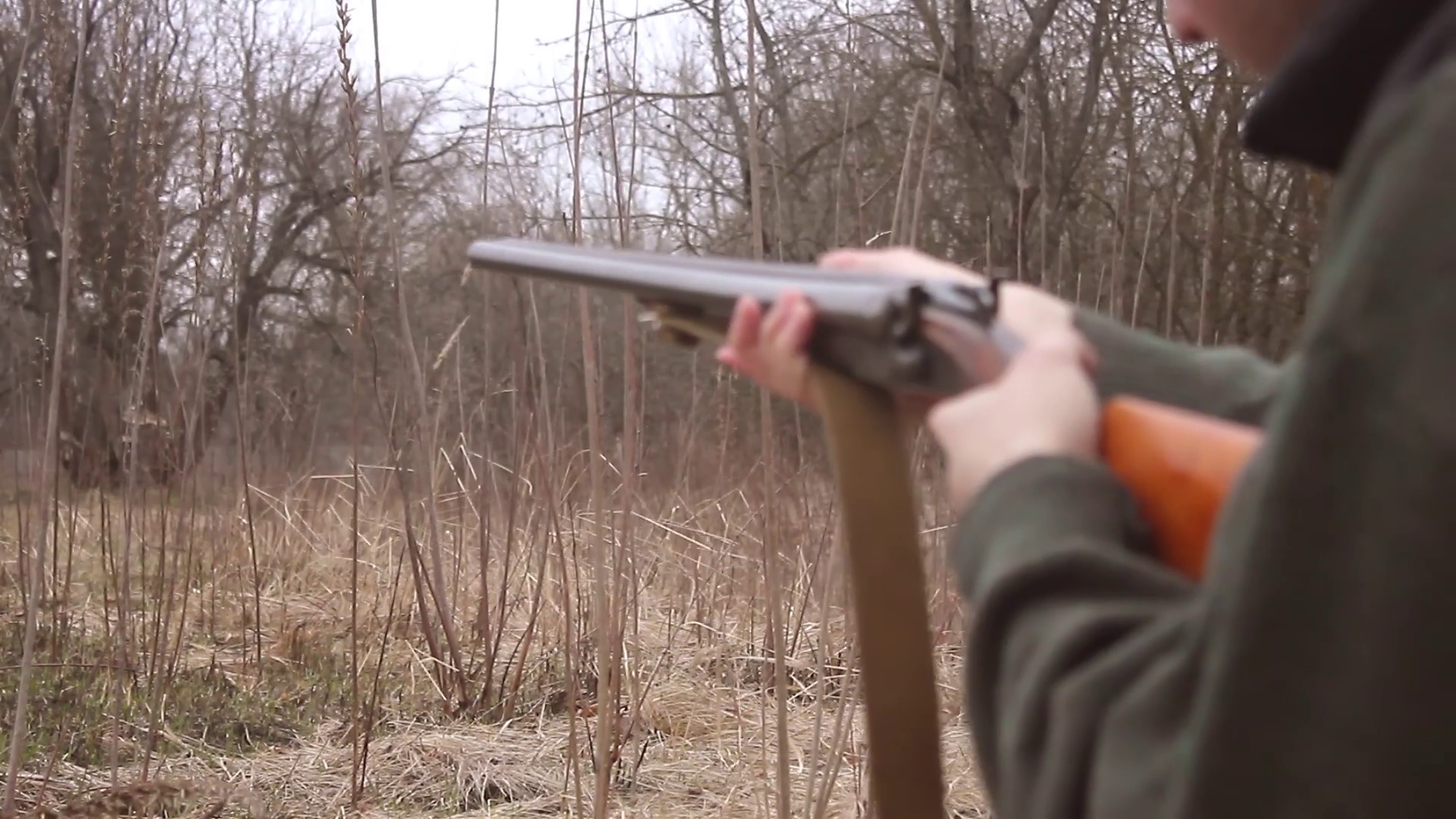 Hunter Aiming Hunt During Hunting Season Stock Footage SBV-313891553 ...