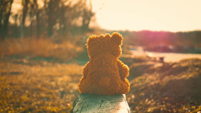 Winnie The Pooh Stock Footage: Royalty-Free Video Clips - Storyblocks