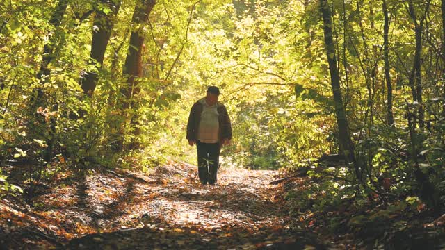 Old Man Walk Stock Footage: Royalty-Free Video Clips - Storyblocks