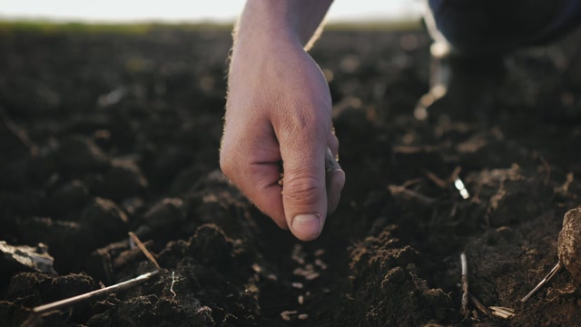 Throwing Seed Stock Footage: Royalty-Free Video Clips - Storyblocks