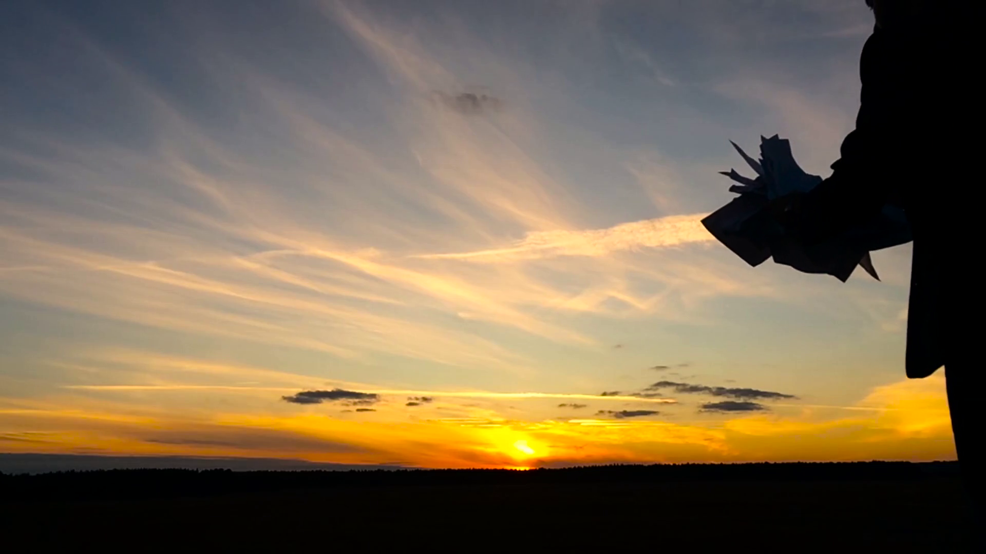 Silhouette Of Businessman Throwing Flyers In Stock Footage SBV ...