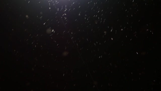 Blizzard Animated Stock Footage: Royalty-Free Video Clips - Storyblocks