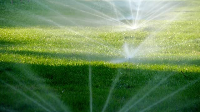 Water Irrigation Stock Footage: Royalty-Free Video Clips - Storyblocks