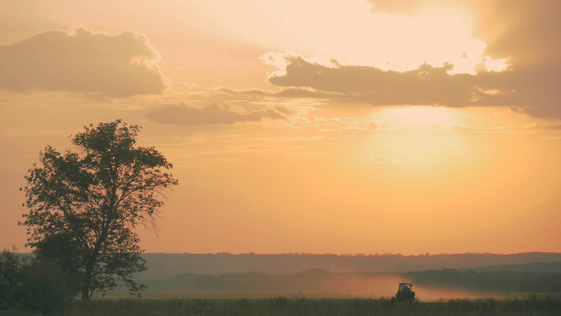 Sunset Nature View Of Summer Field Beautiful Stock Footage SBV ...