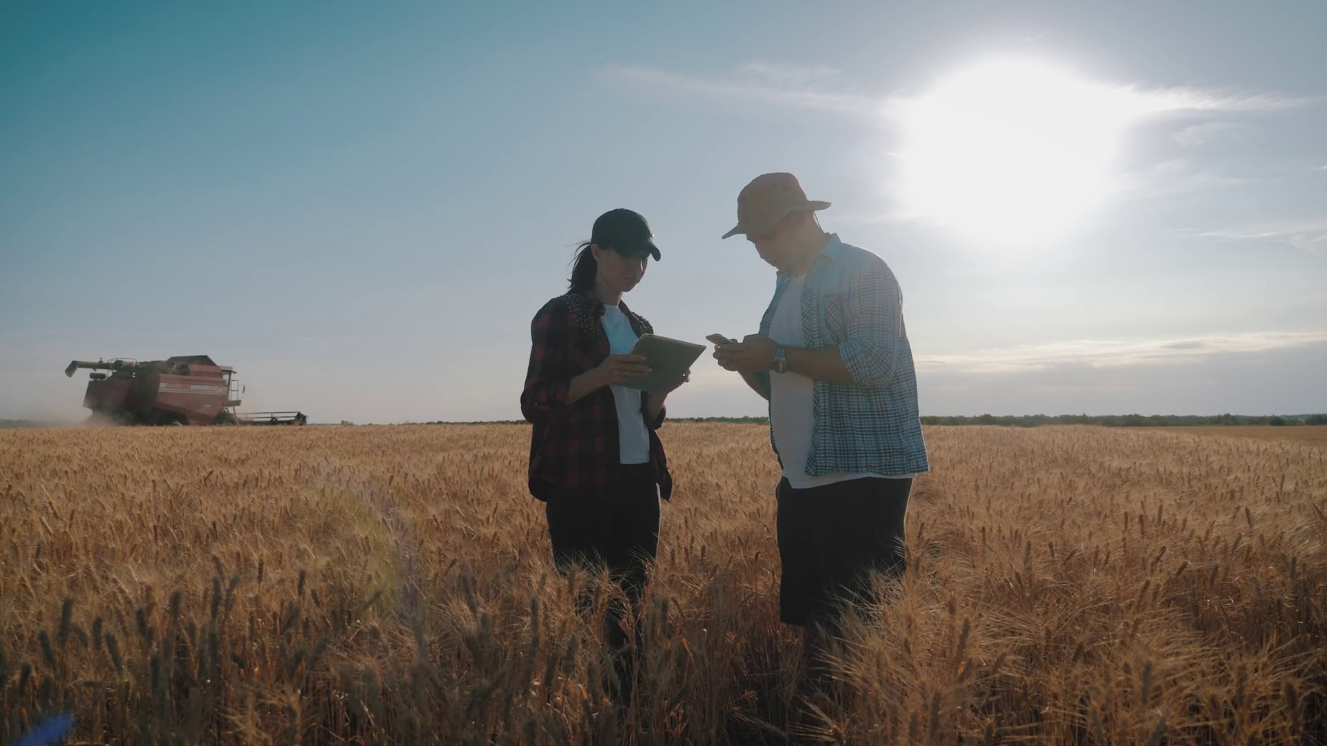 Two farmers talking in a wheat field against blue sky. Team farmers ...
