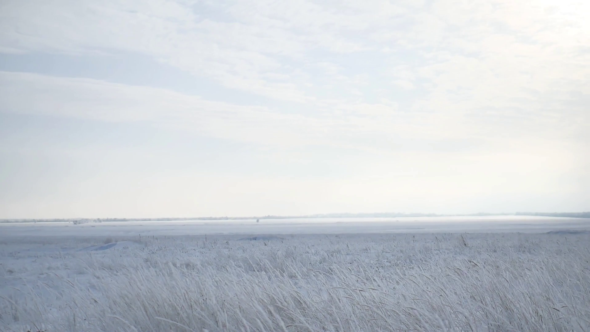 Winter steppe landscape with grass under the snow Stock Video Footage ...