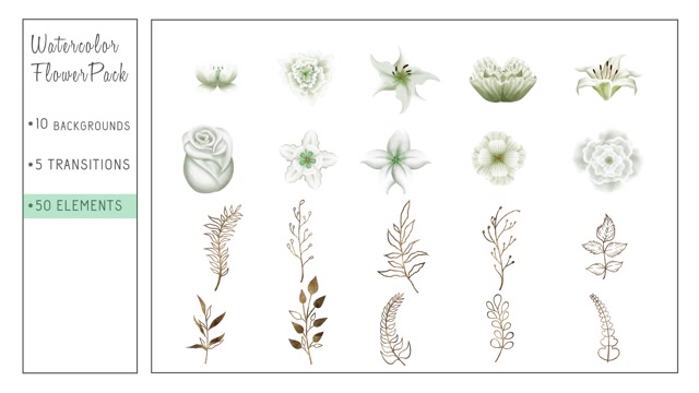 Watercolor Titles Templates Royalty-Free - Storyblocks