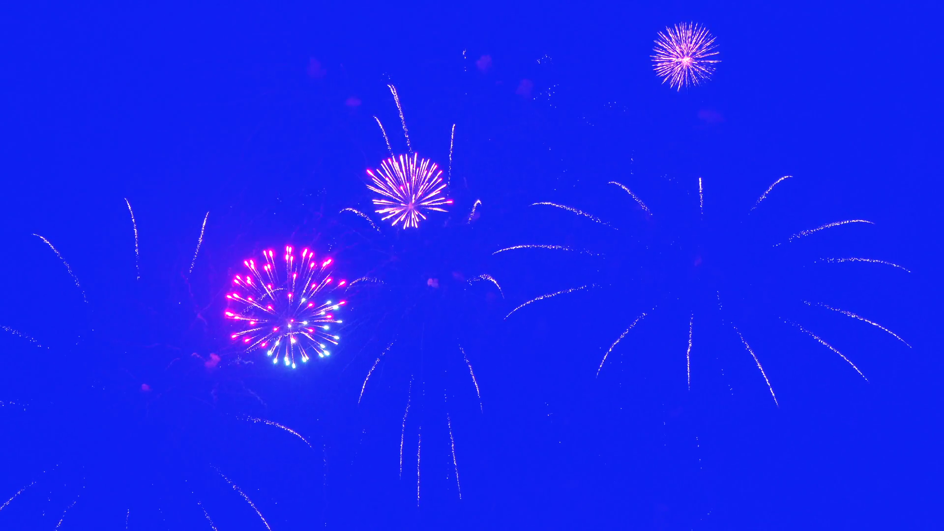 Abstract Real Firework On Blue Screen Chroma Stock Footage SBV ...