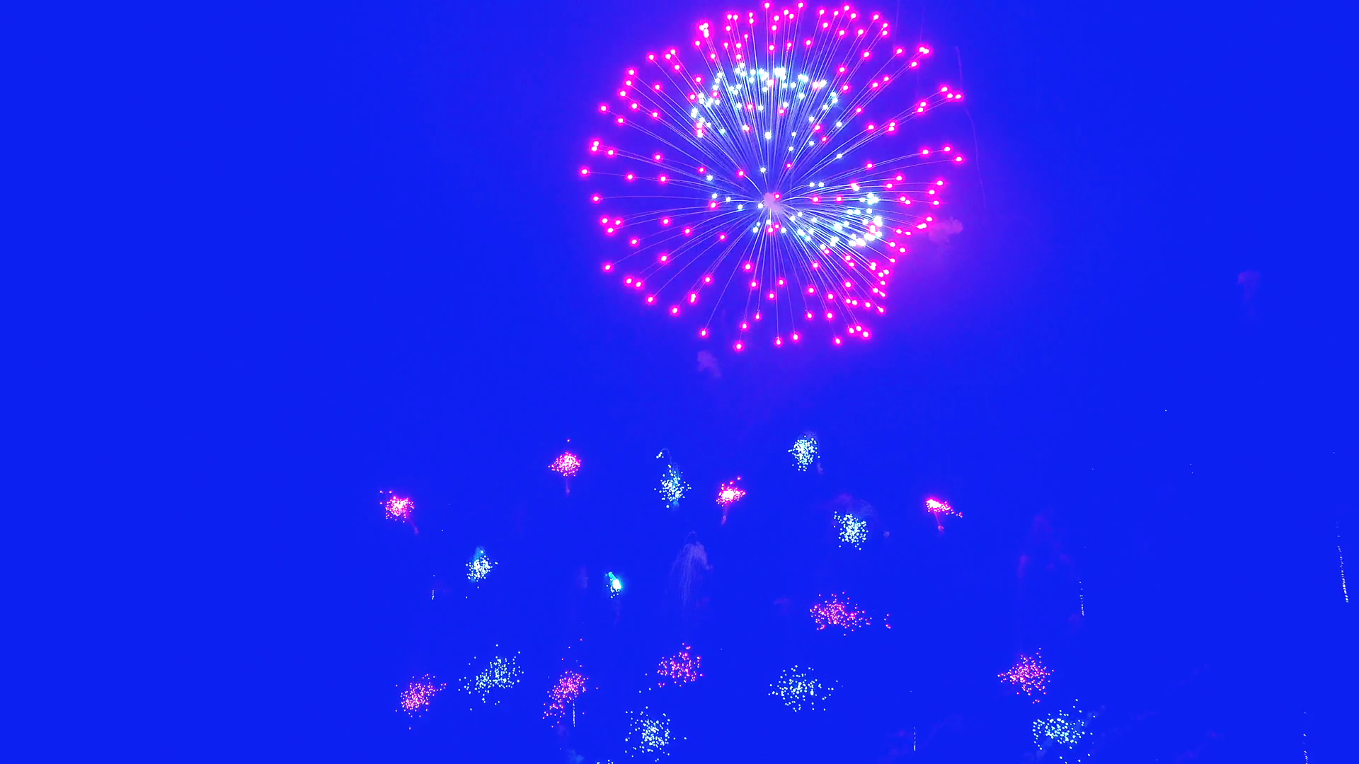 Abstract Real Firework On Blue Screen Chroma Stock Footage SBV ...