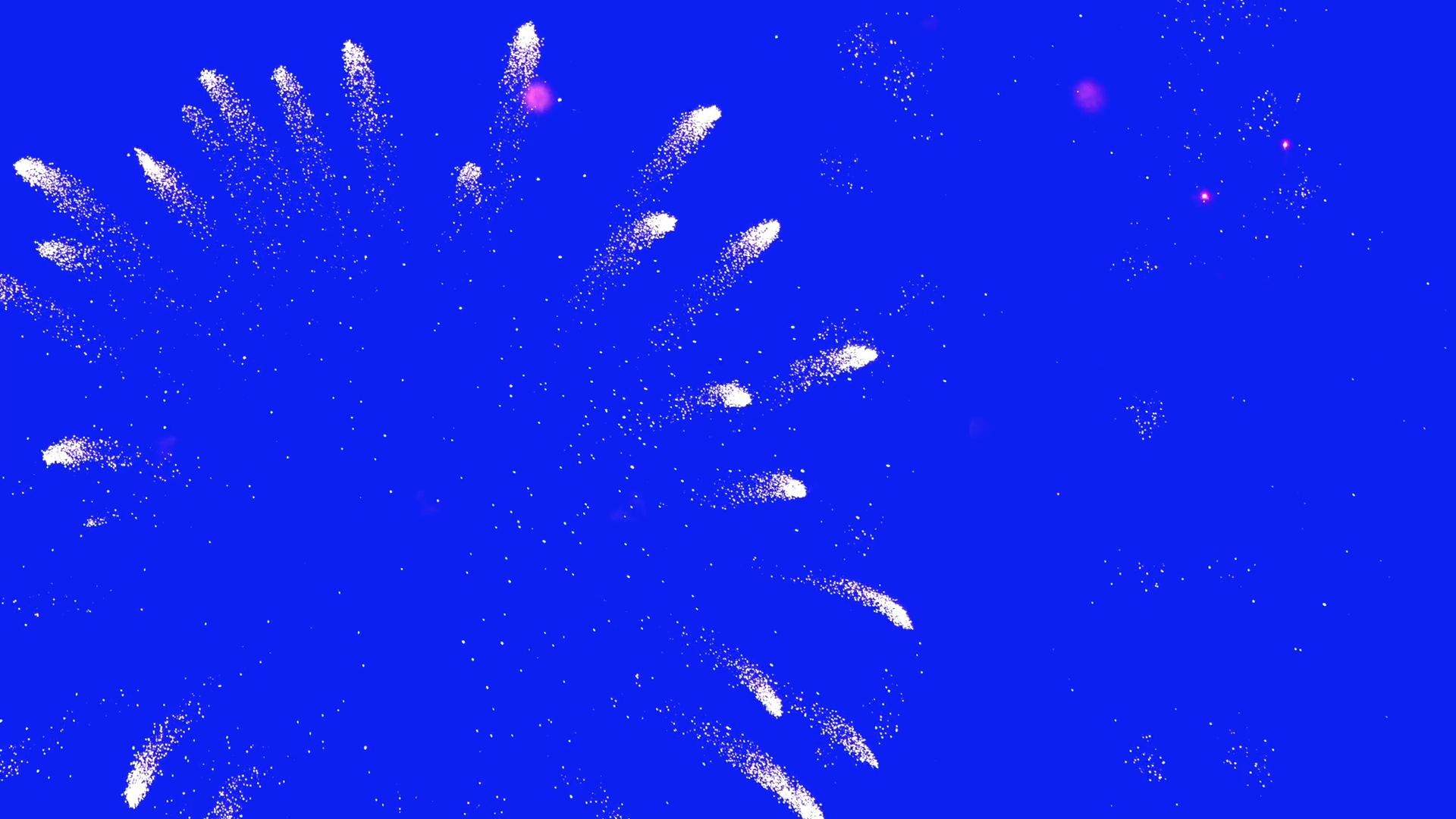 Abstract Real Firework On Blue Screen Chroma Stock Footage SBV ...