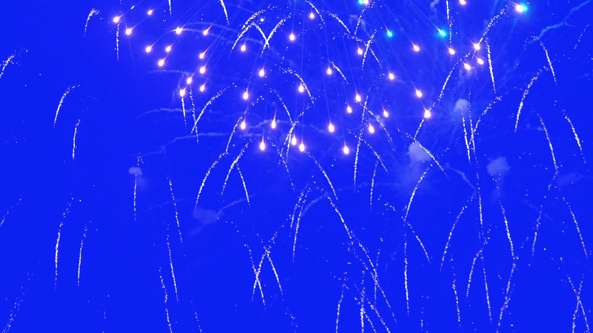 Abstract Real Firework On Blue Screen Chroma Stock Footage SBV ...