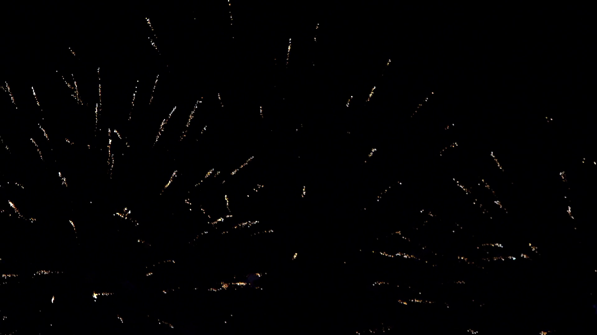 Abstract Firework On Black Night Sky Stock Footage SBV-351998641 ...