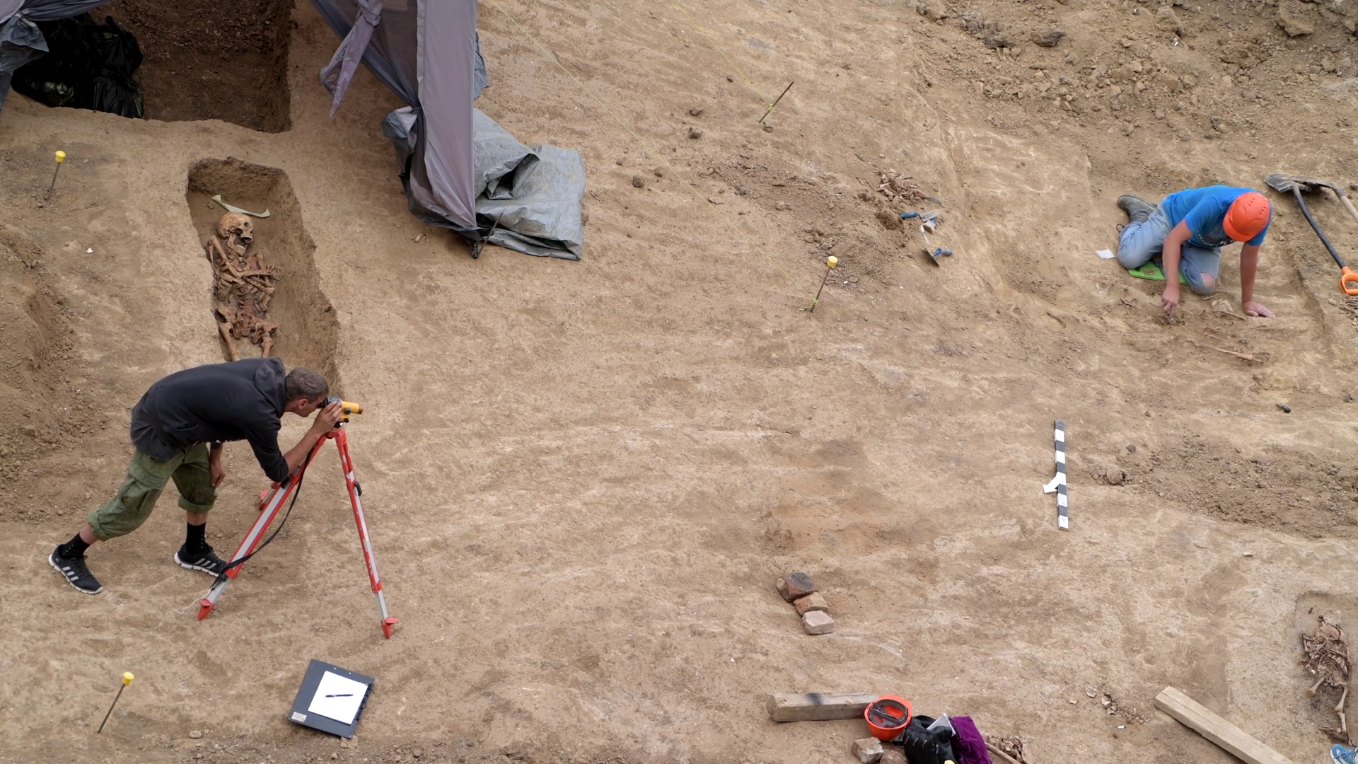 Excavation Of Well-preserved Skeleton At Stock Footage SBV-351990288 ...