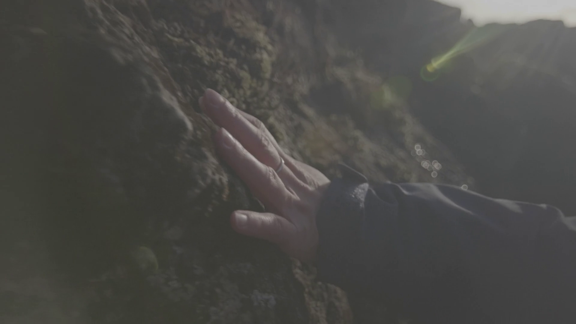 Woman Hand Touching Mossy Rocks In Icelandic Stock Footage SBV ...