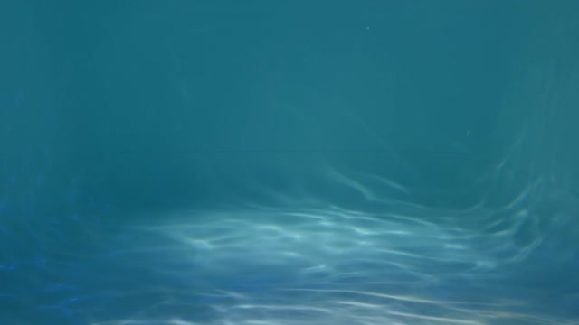 Diving Go Pro Stock Footage: Royalty-Free Video Clips - Storyblocks