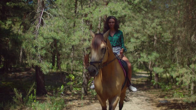 Whipping Her Horse Stock Footage: Royalty-Free Video Clips - Storyblocks