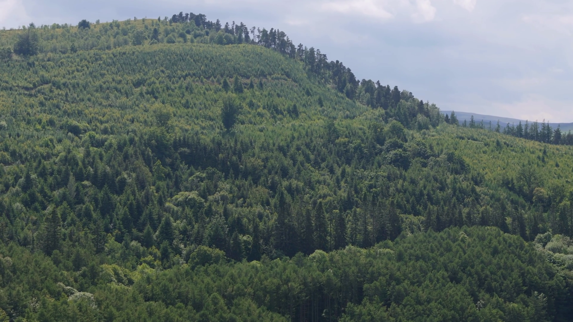 Aerial View Of Forest On Hill In British Stock Footage SBV-351845964 ...