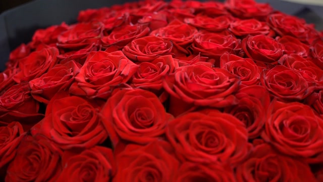 Rotating Rose Stock Footage: Royalty-Free Video Clips - Storyblocks