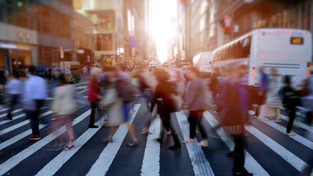 Search Royalty Free Footage and Video Clips - Storyblocks