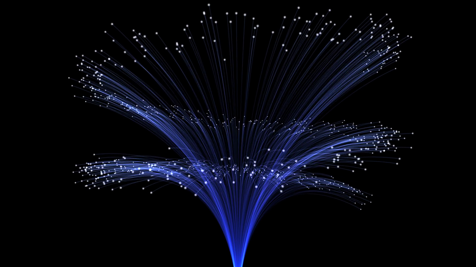 Smooth Neon Lights Motion Graphics Digital Stock Motion Graphics SBV ...