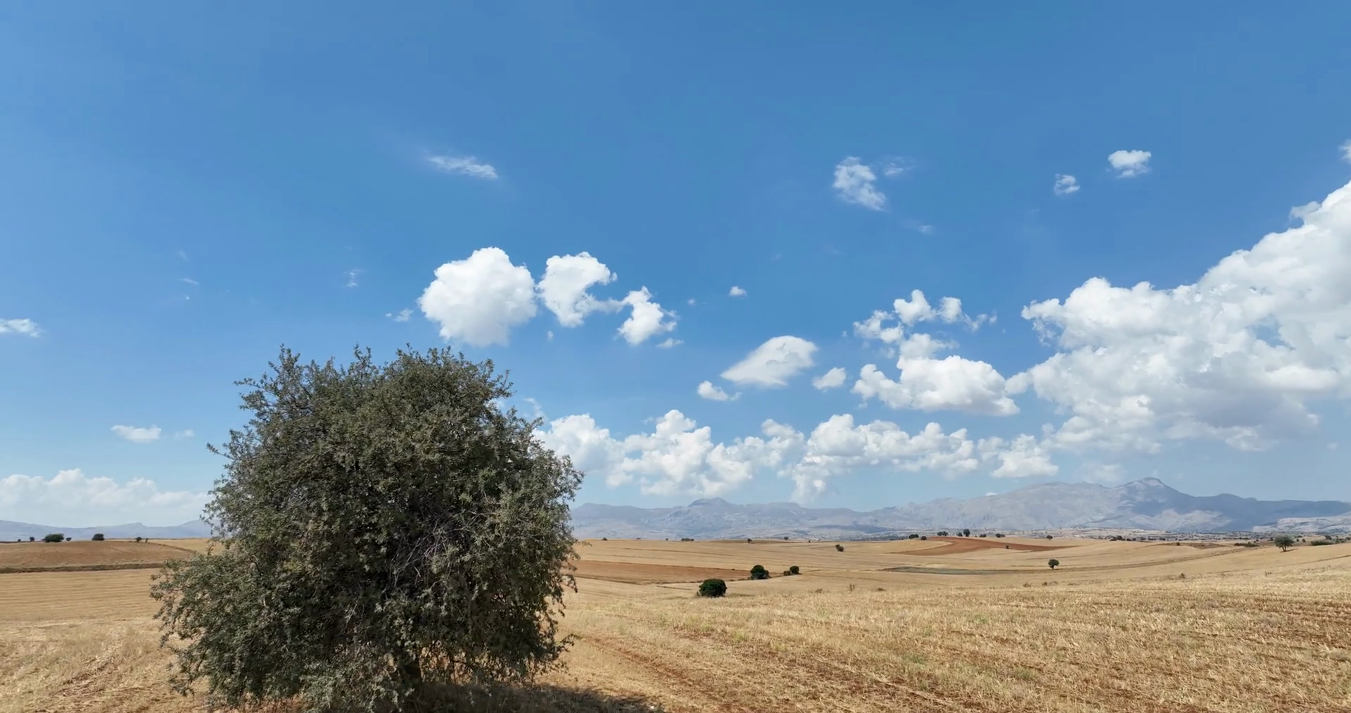 Farm Fields Blue Sky With Clouds Background Stock Footage SBV-347144002 ...