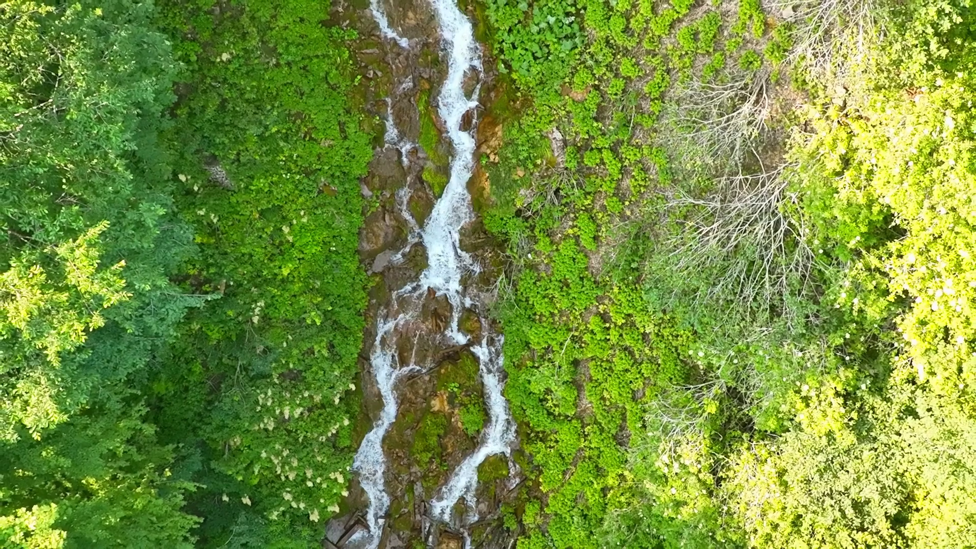 Beautiful Waterfall In Green Forest Top View Stock Footage SBV ...
