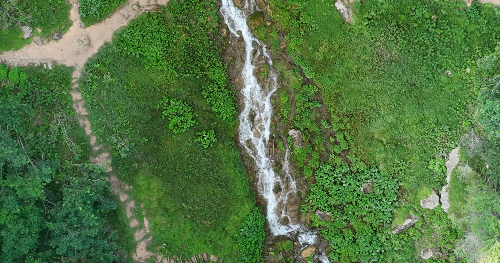 Beautiful Waterfall In Green Forest Top View Stock Footage SBV ...