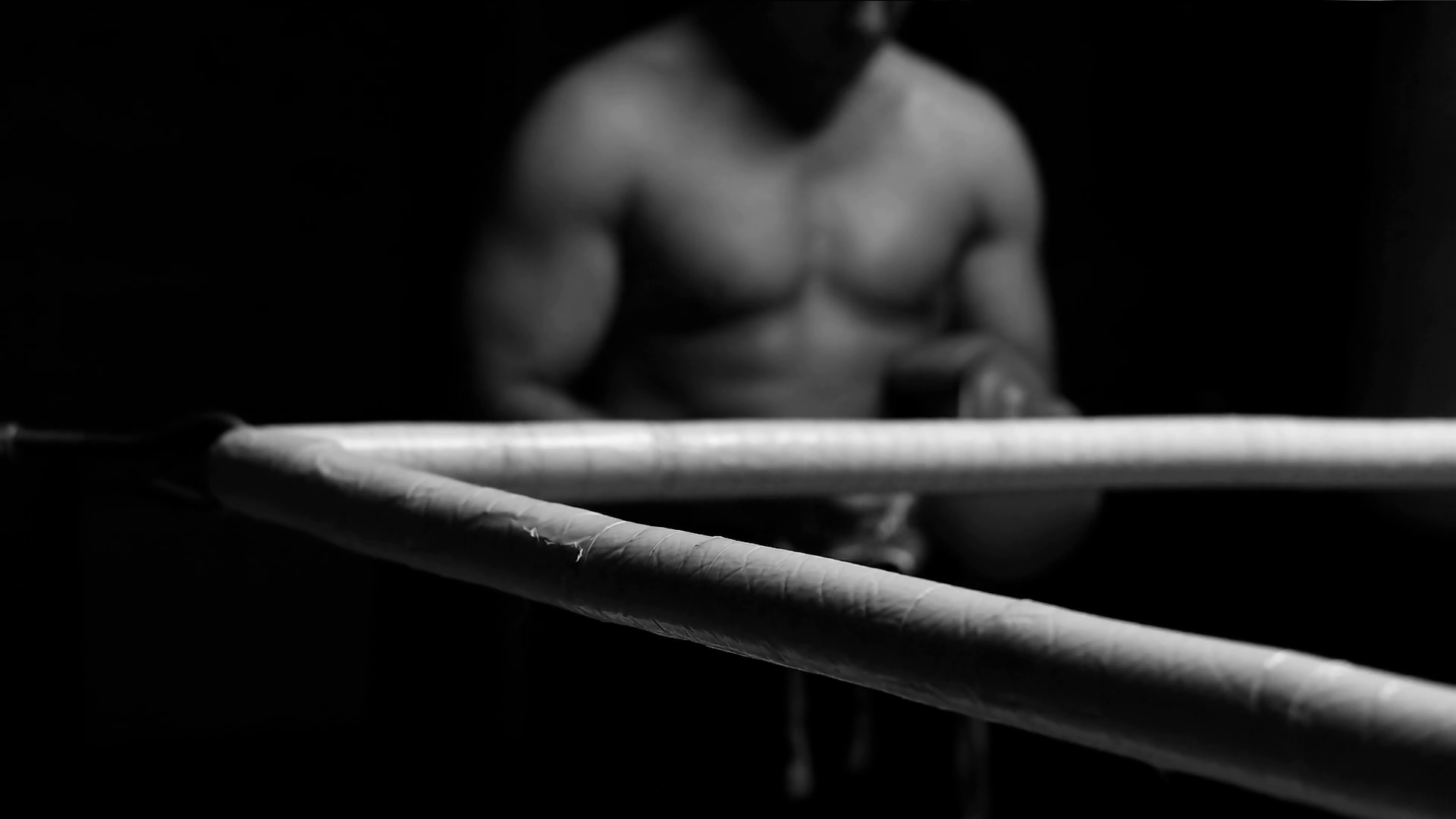 Boxer Ready Fight Black White Stock Footage SBV-318429590 - Storyblocks