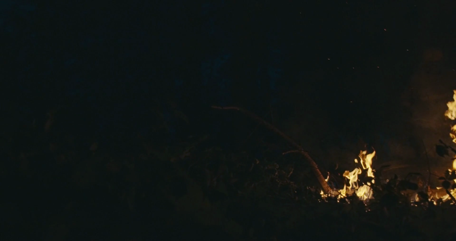 Firemen jumping over fire in dense forest, fire fighter with safety ...