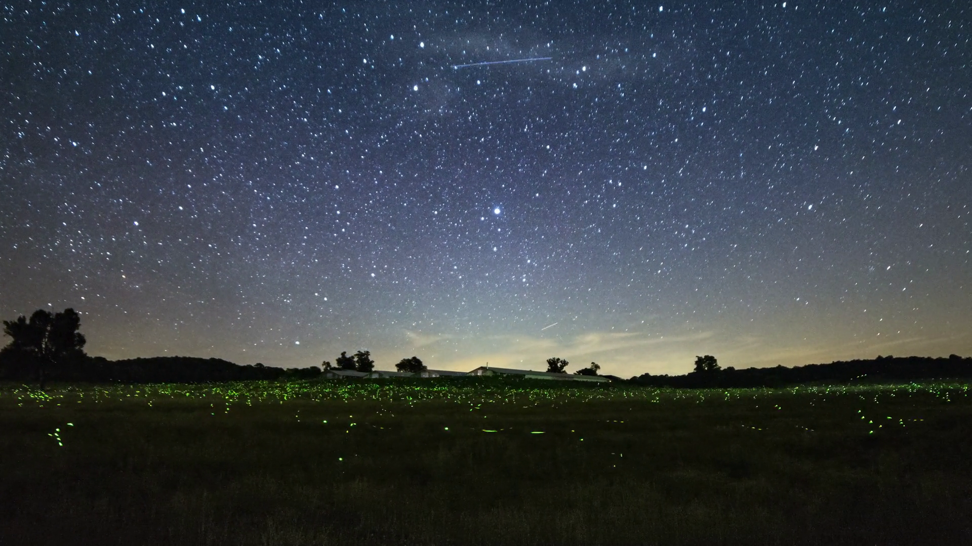 Time Lapse Of Field Filled With Fireflies Stock Footage SBV-352093161 ...