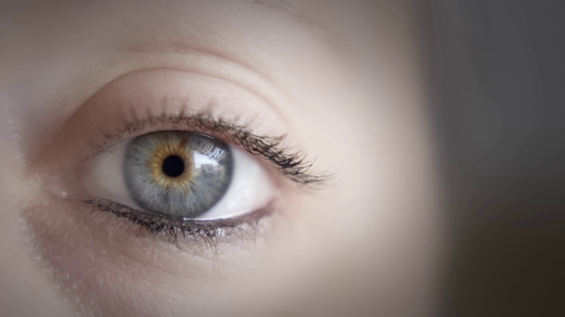 Close up of a grey eye looking straight to the camera. Slow motion ...