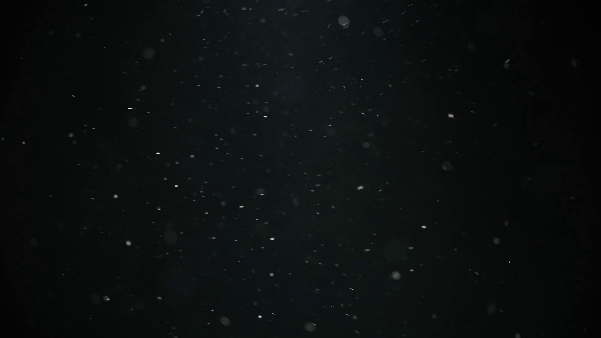 White Dust Particles Flowing In Air On Black Stock Footage SBV ...