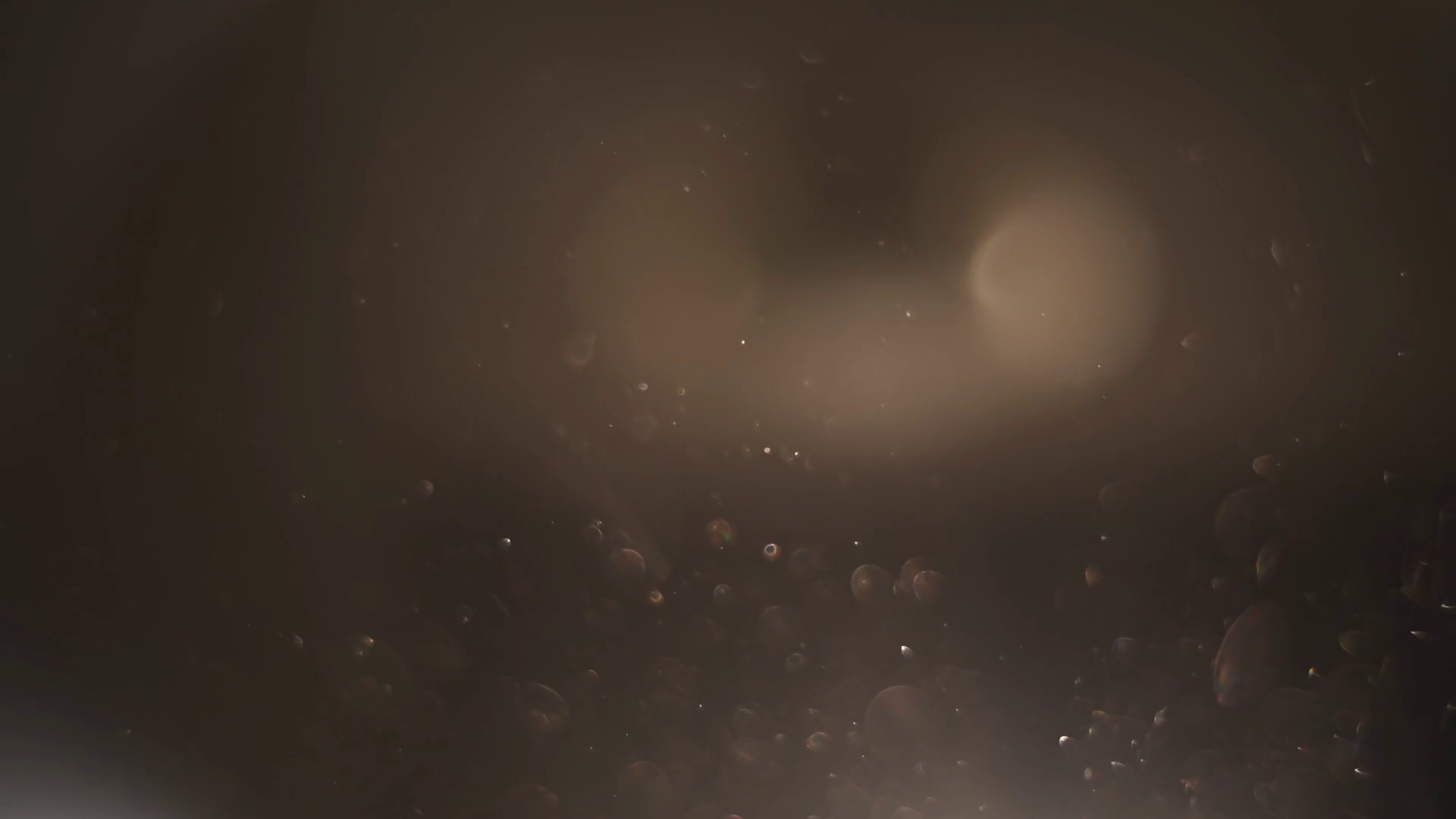 Particles Of Dust Flying In Rays Of Morning Stock Footage SBV-347724345 ...