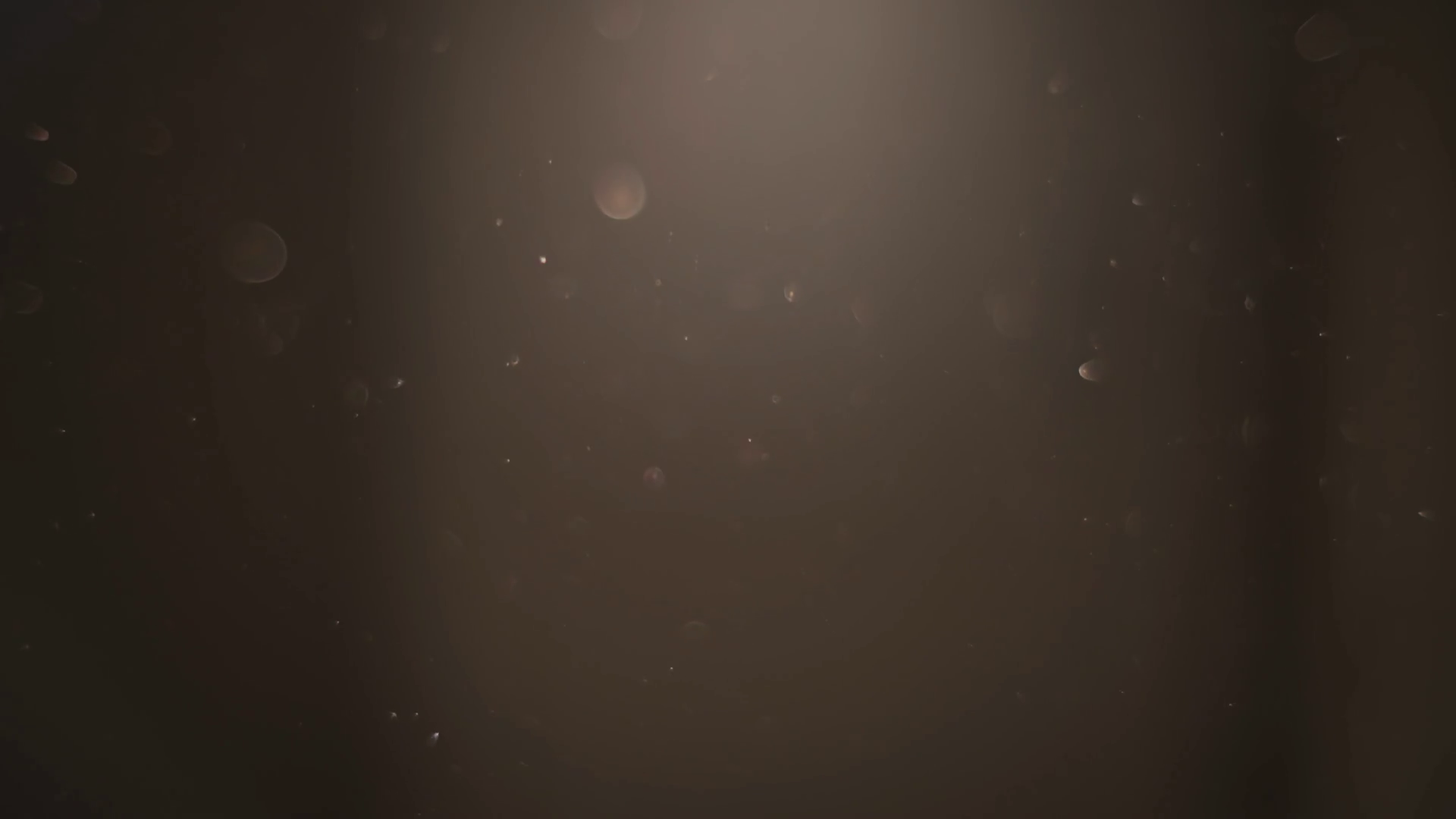 Small Dust Particles Floating In Morning Sun Stock Footage SBV ...