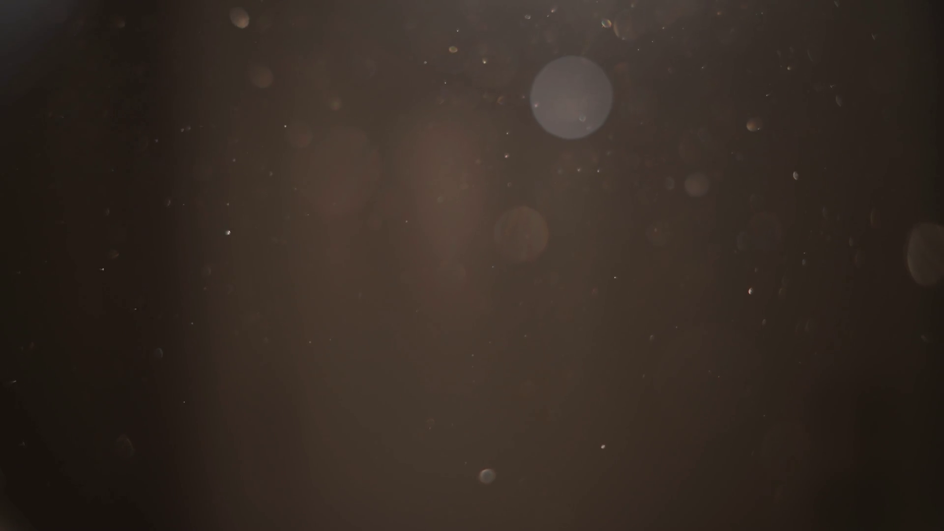 Dusty Particles Floating In Morning Sunlight Stock Footage SBV ...