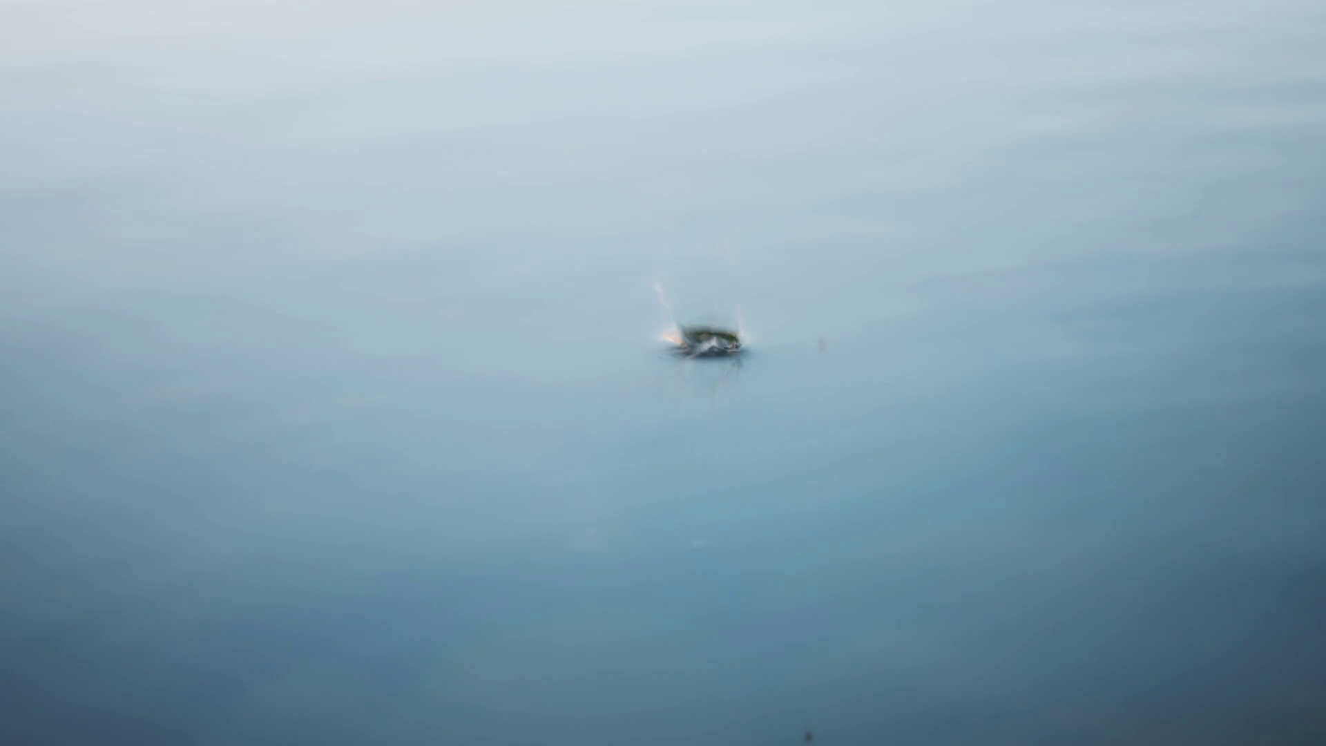 Stone Falling Into Water Creating Ripples On Stock Footage SBV ...