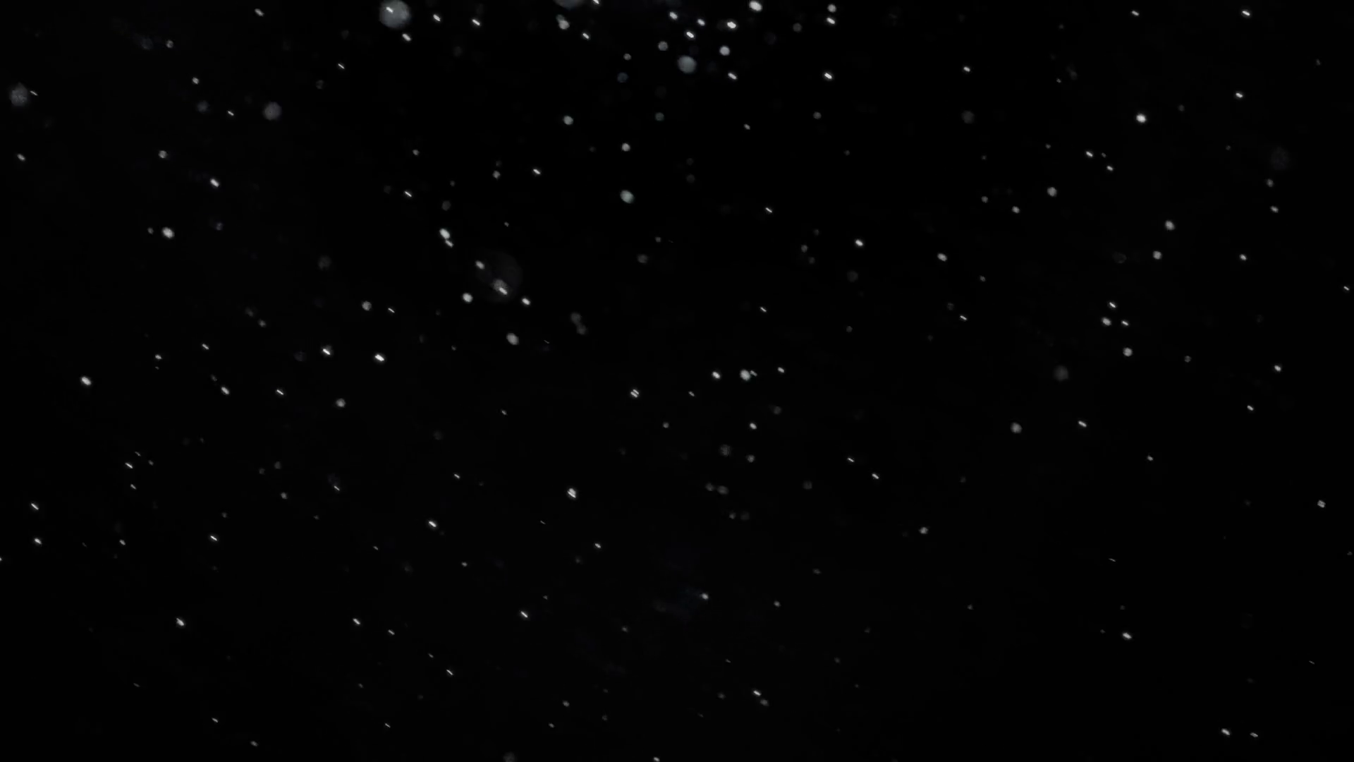 Real Snowfall In Front Of Black Background Stock Footage SBV-347566990 ...