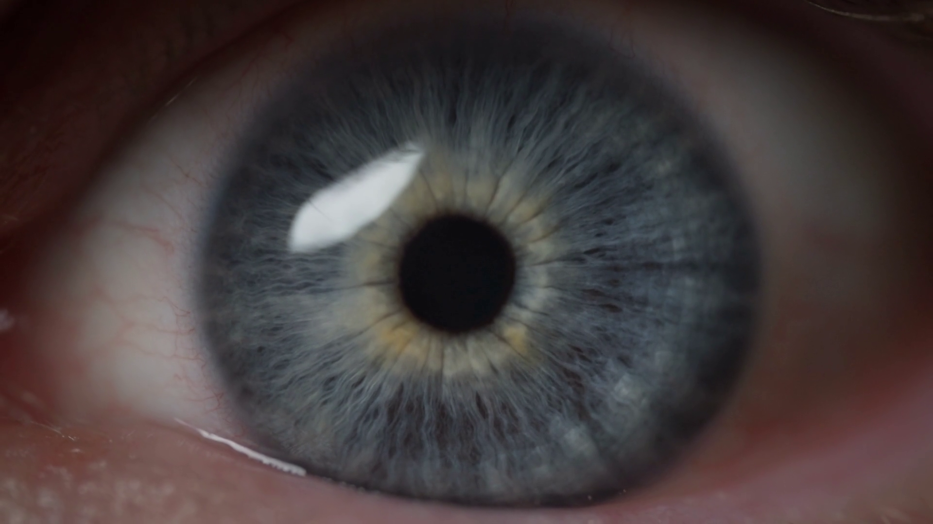 Macro Shot Of Blue Eye Opening Wide Slow Stock Footage SBV-347586870 ...