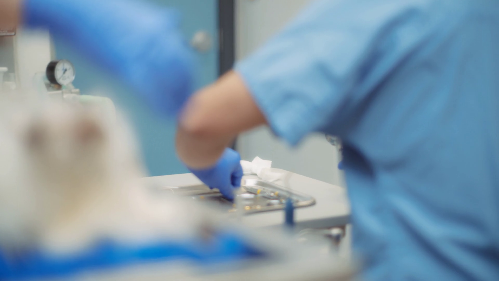 Veterinarian Taking Surgical Instruments Stock Footage SBV-348467808 ...