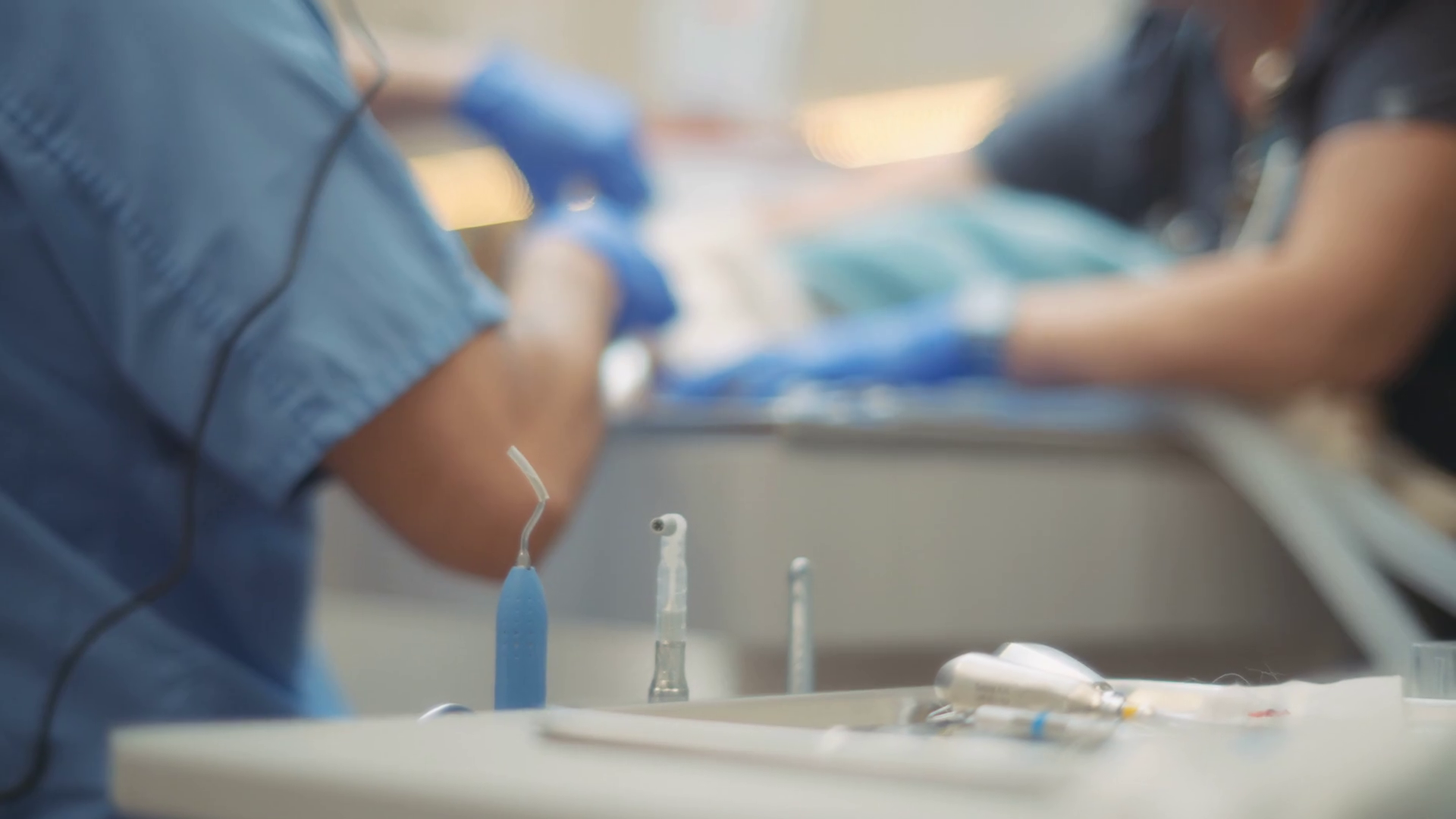 Team Of Veterinarians During Surgical Stock Footage SBV-348468571 ...