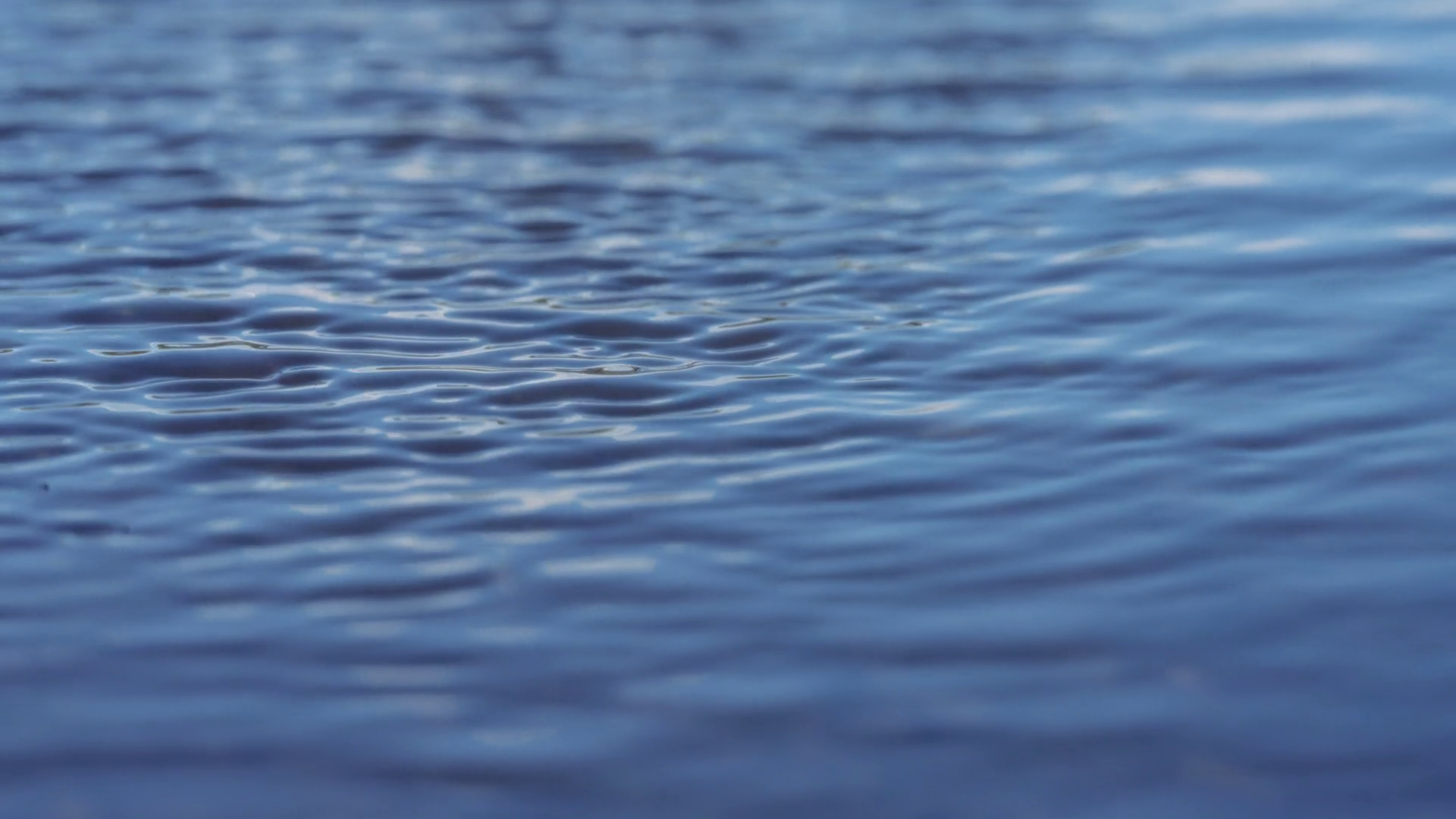 Wind Ripples On Blue Water Surface Slow Stock Footage SBV-348745098 ...