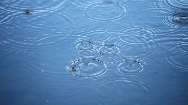 Rain Drops Stock Footage: Royalty-Free Video Clips - Storyblocks