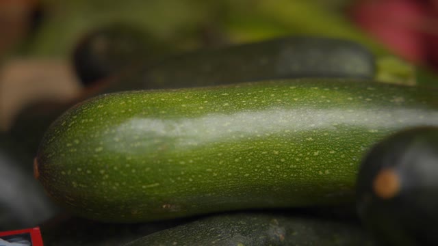 Cucumber Family Stock Footage: Royalty-Free Video Clips - Storyblocks