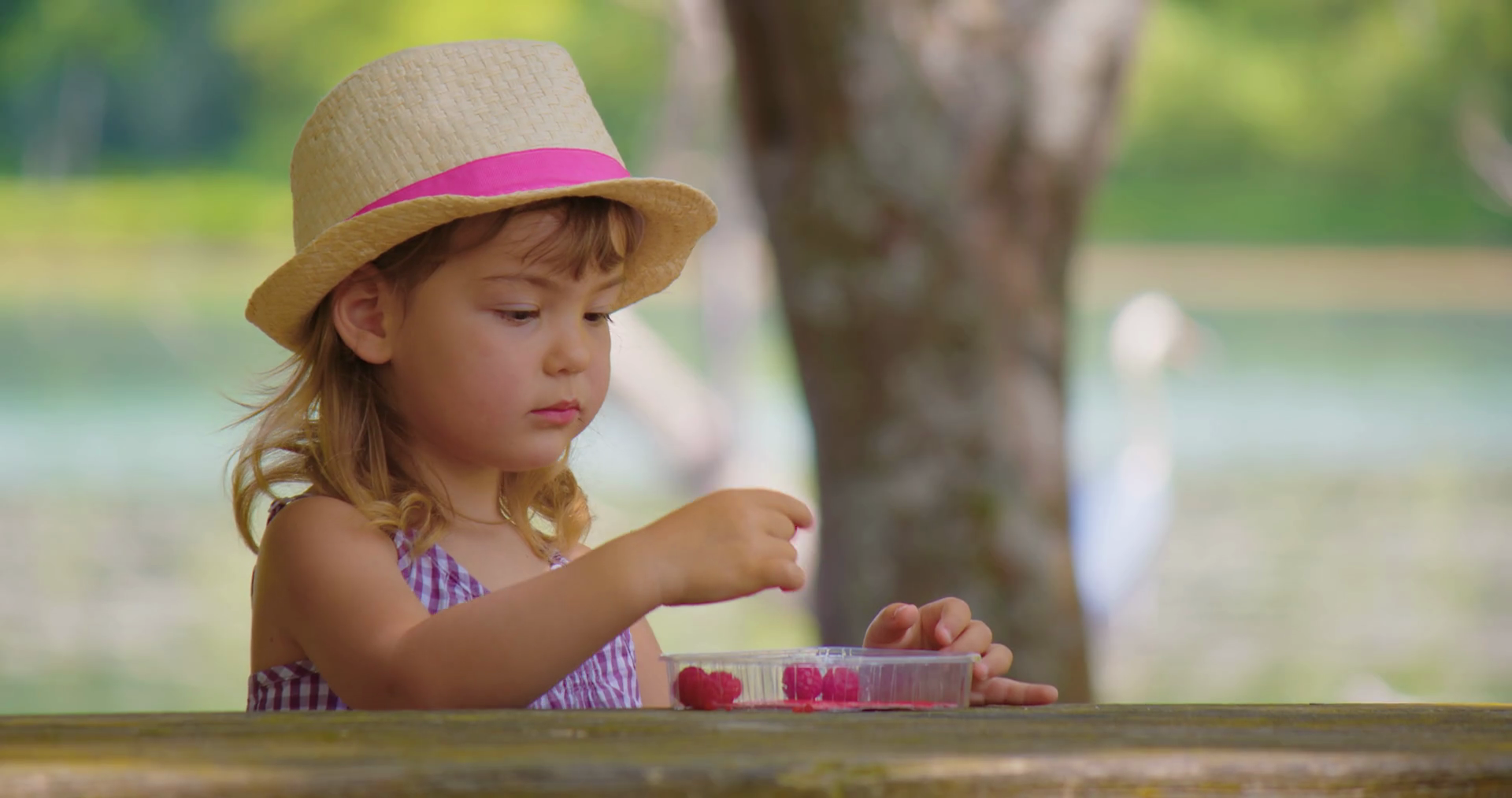 A Child In Hat Eats Raspberries At Table In Stock Footage SBV-347783235 ...